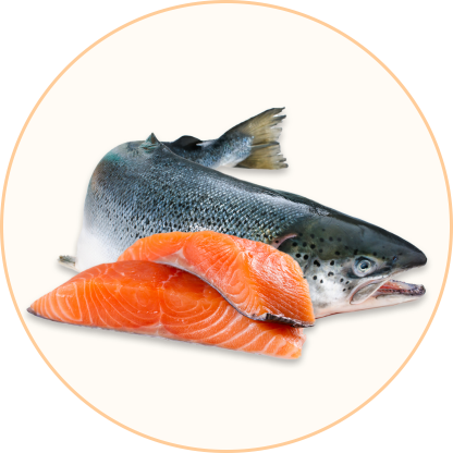 Vida Brand - Fish - Vida Foods International